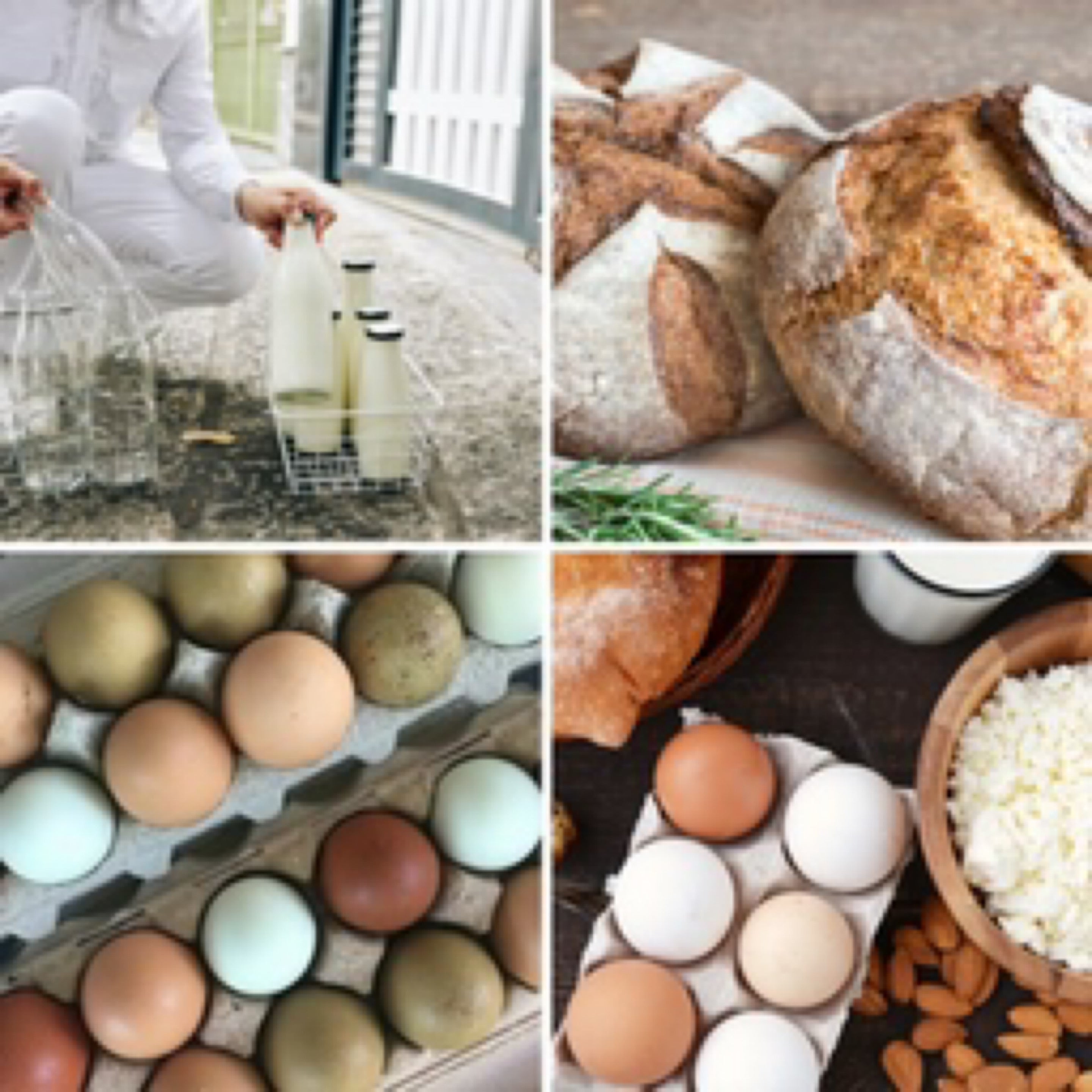 Farm Fresh Delivery | Stars & Sage Farm