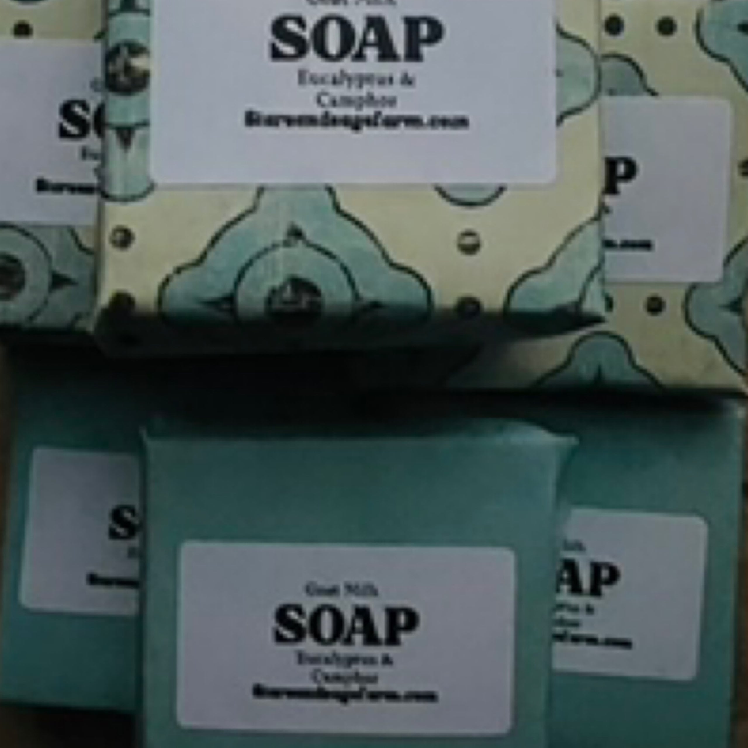 Eucalyptus & Camphor Goat Milk Soap | Stars & Sage Farm